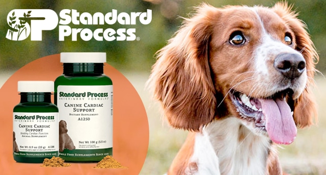 Standard Process: 9+ Superior Whole Food Supplements for Pets