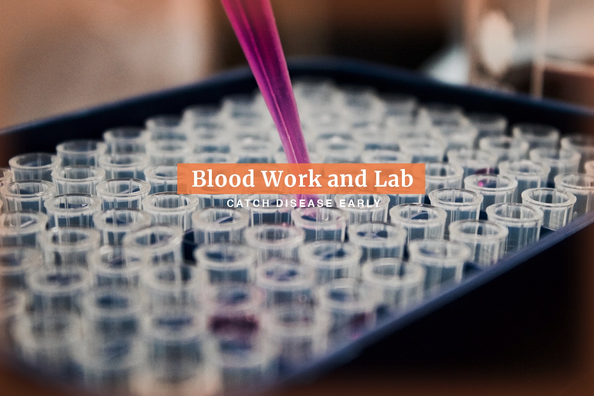 Laboratory & Blood Work Services for Precise Diagnostics