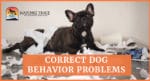 Correct Dog Behavior Problems - Alternative Veterinarian Nashville TN