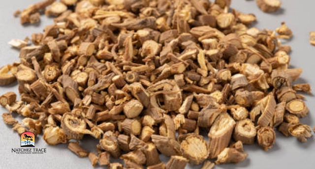 Di Gu Pi San for Arthritis and Its 8 Effective Ingredients