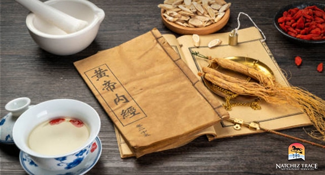 Di Gu Pi San for Arthritis and Its 8 Effective Ingredients