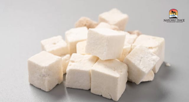 Di Gu Pi San for Arthritis and Its 8 Effective Ingredients