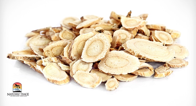 Di Gu Pi San for Arthritis and Its 8 Effective Ingredients