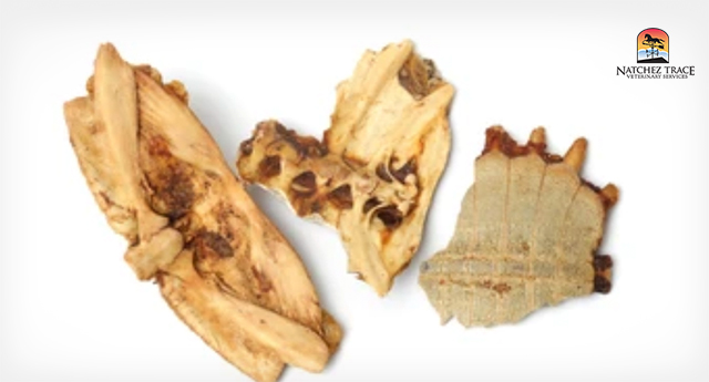 Di Gu Pi San for Arthritis and Its 8 Effective Ingredients