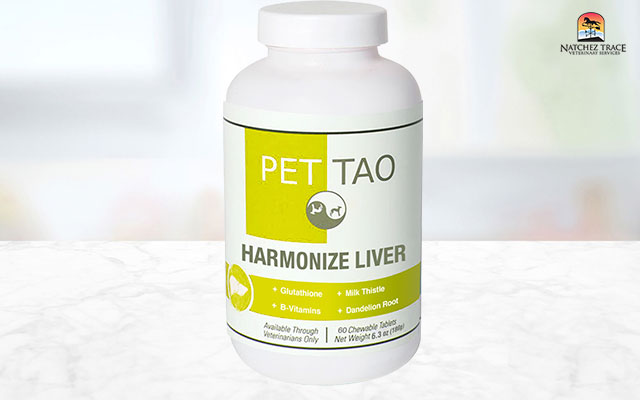 Importance of Liver Supplement for Dogs: 11 Common Signs of Liver ...